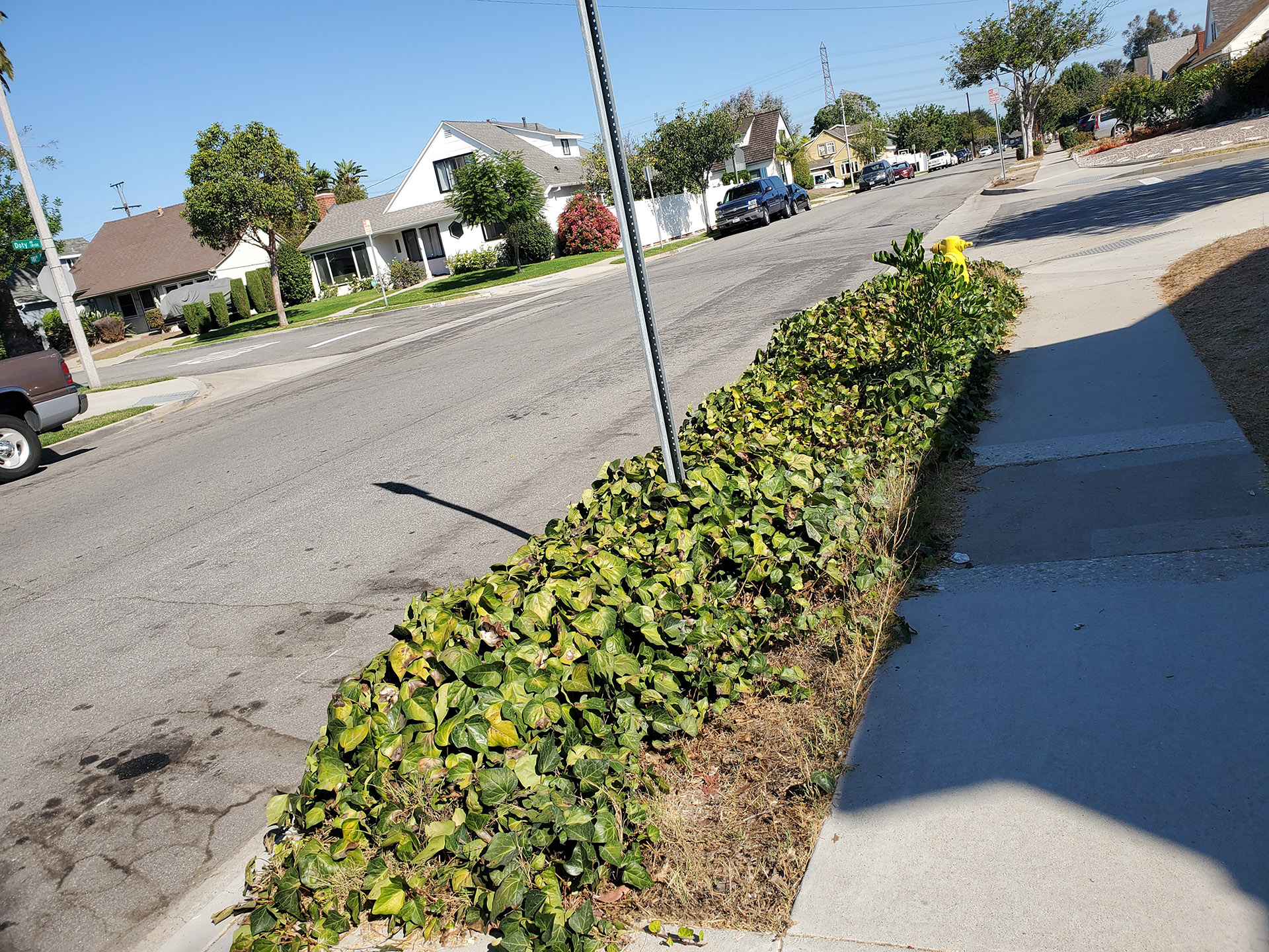 CWE Engineering – Creating a Better Tomorrow, Today™